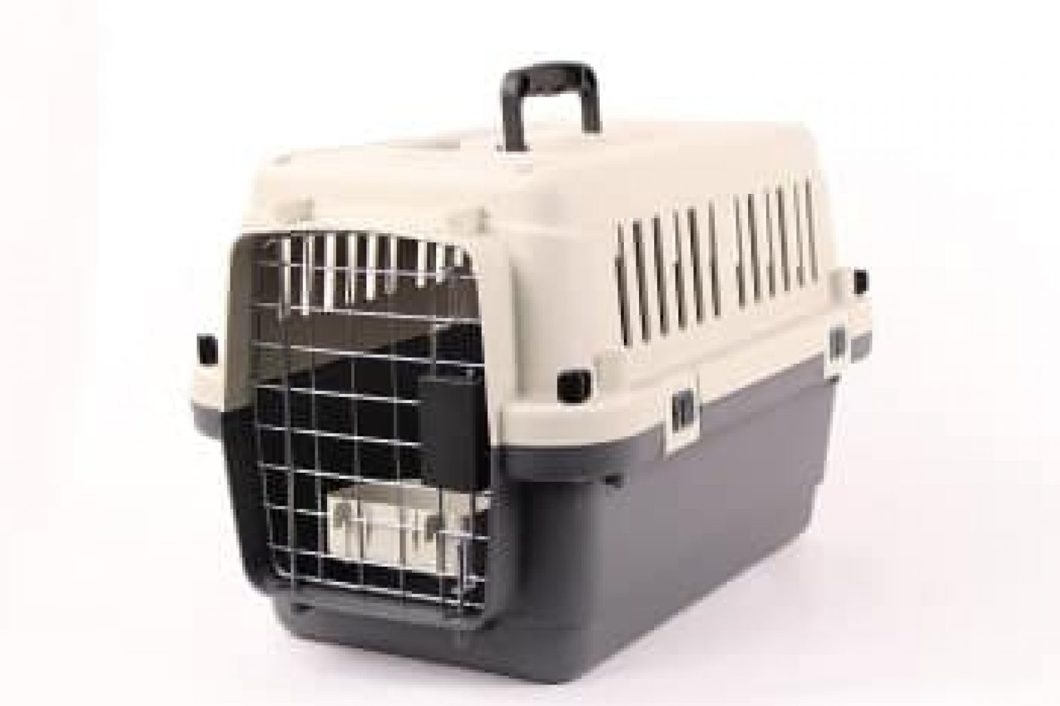 Best Rabbit Carrier for Travel [2025 Review] Top Portable Bunny Pet Cage